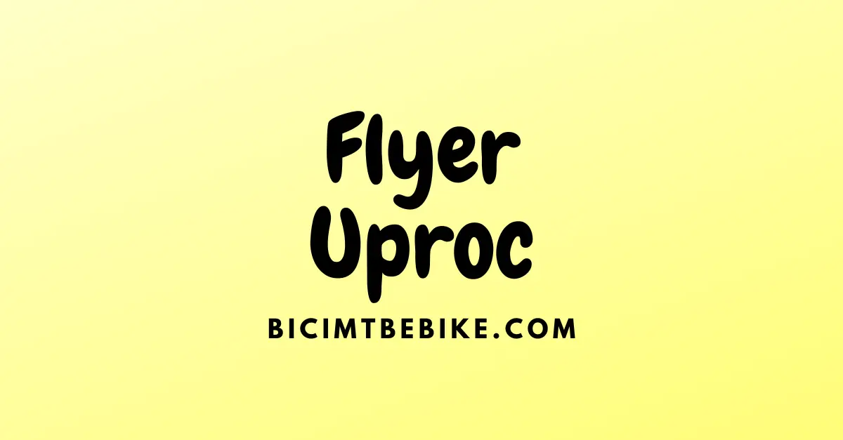 Flyer Uproc: prezzi e specifiche delle eMtb svizzere